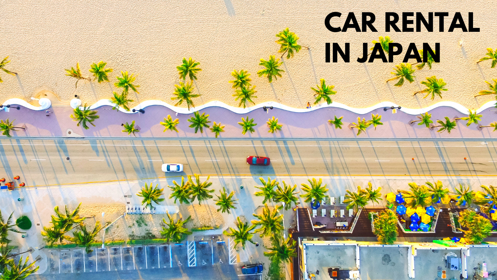 How Can Foreigners Rent a Car in Japan? A Simple Explanation | ASAHI ...
